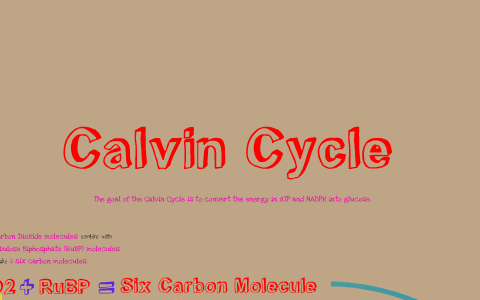 Calvin Cycle by Paul Epps on Prezi