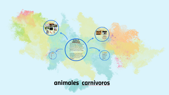 ANIMALES CARNIVOROS by sofi dayana perez sanchez