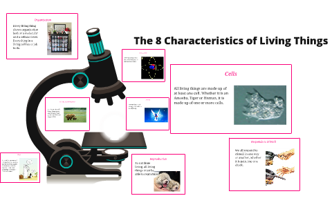 The 8 Characteristics of Living Things by michael ward on Prezi