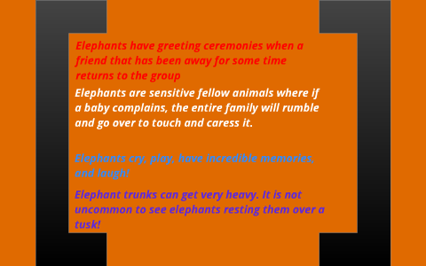 Elephants by Katie Stockwell on Prezi
