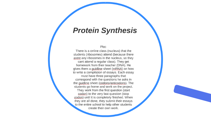Protein Synthesis by Sam McClintic