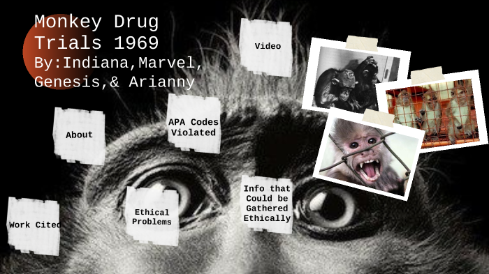 Monkey Drug Trials 1969 by Indiana Pagan on Prezi