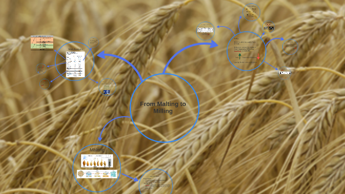 Malting and Griding by Matthew Peetz on Prezi