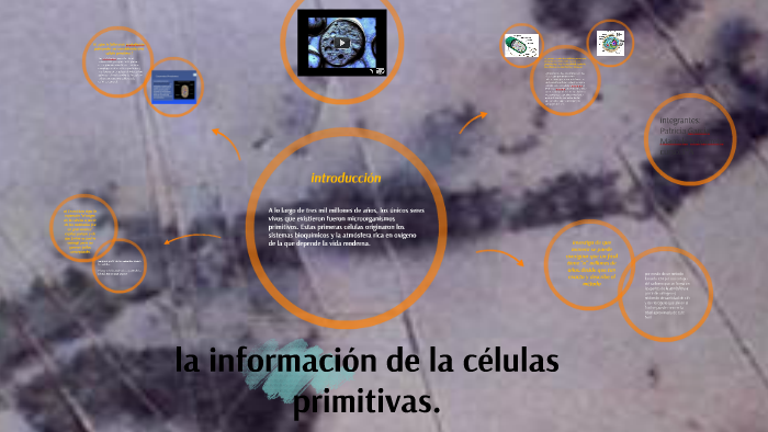 la imformacion de la celulas primitivas by marcela navarrete on Prezi