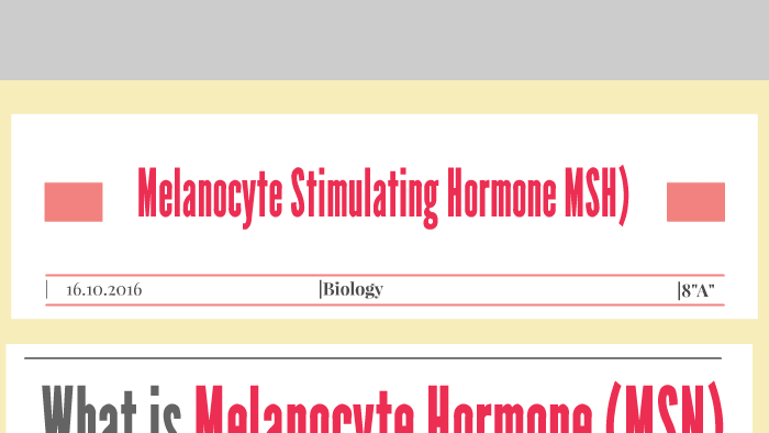 Melanocyte Stimulating Hormone MSH) by nursultan zhuldizbekuli on Prezi