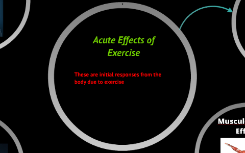 Acute Effects of Exercise by Josh Leach on Prezi