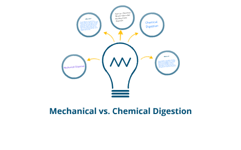 Mechanical vs. Chemical Digestion by Marianne Dameron on Prezi