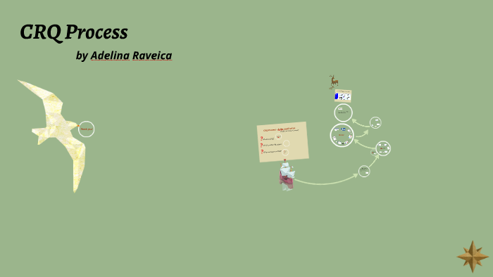CRQ Process by Adelina Raveica on Prezi