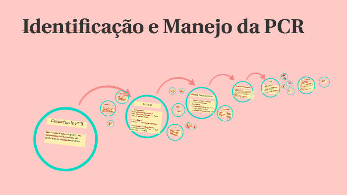 Identificação e Manejo da PCR by Cláudia Carballo