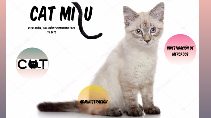 Cat Milu by Paula Rocha on Prezi