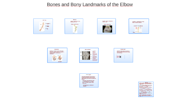 Bones and Bony Landmarks of the Elbow by Lauren Frost on Prezi