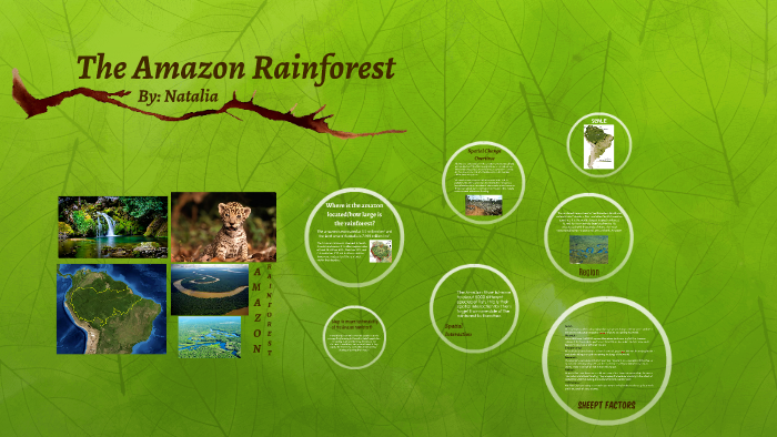 The Amazon Rainforest by Natalia Nutella on Prezi