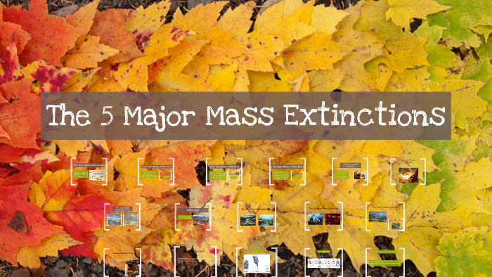 The 5 Major Mass Extinctions by Emi Fukuda on Prezi