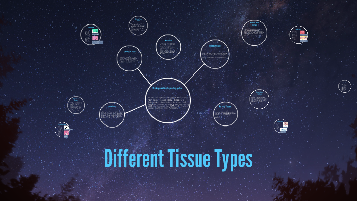 In the integumentary system there are four different tissue by Amanda ...