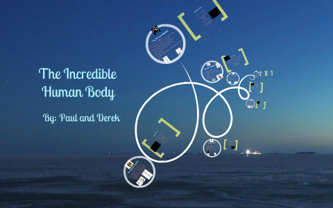The Incredible Human Body by Oh Snap! on Prezi
