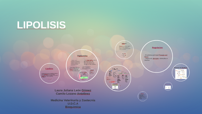 Lipolisis by on Prezi