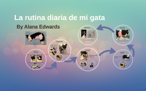 La rutina diaria de mi gata by on Prezi