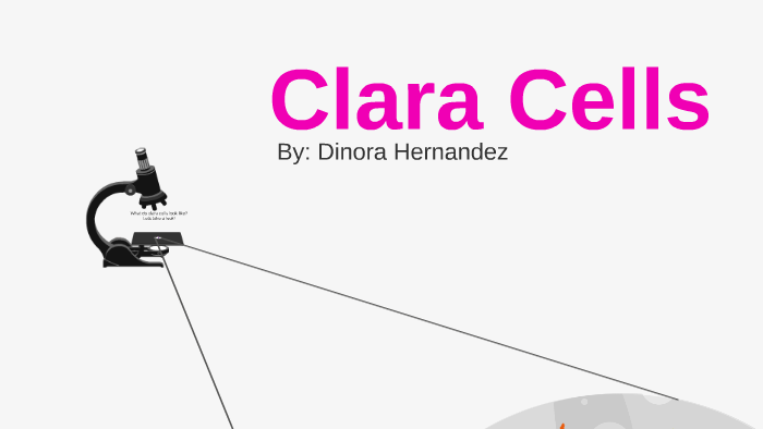 Clara Cells by Dinora Hernandez on Prezi
