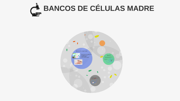 BANCOS DE CÉLULAS MADRE by Genoveva Cabeza on Prezi