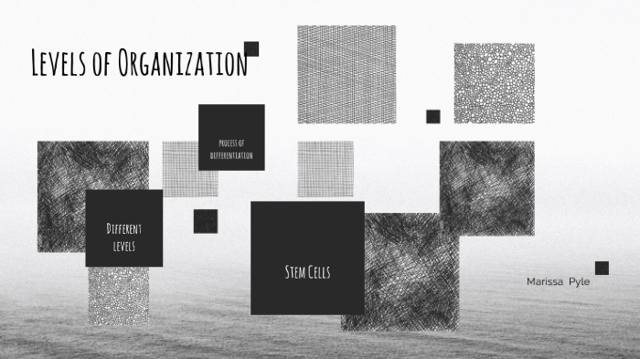 Levels of Organization by marissa pyle on Prezi