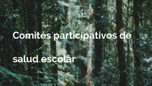 Comité participativo de salud escolar by cristy rubio on Prezi Design