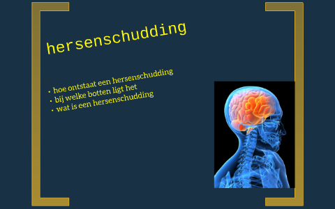 hersenschudding by on Prezi