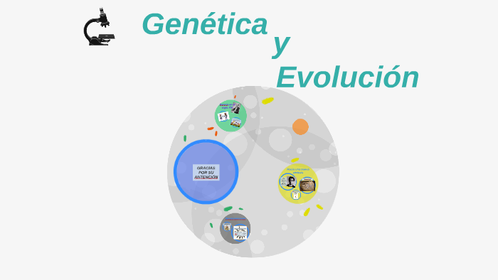 Genetica y Evolucion by Ambar Hilario on Prezi