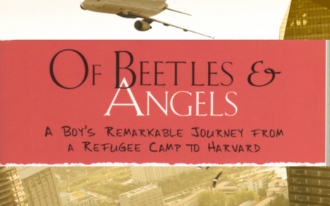 Of Beetles and Angels by Marzi Hamnafas on Prezi