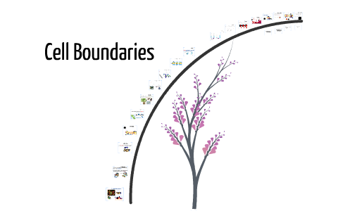 Biology Chapter 7 Section 3 Cell Boundaries by Mark Meredith on Prezi