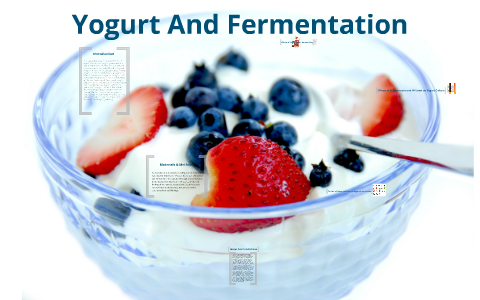 Yogurt And Fermentation by Victoria Christine on Prezi