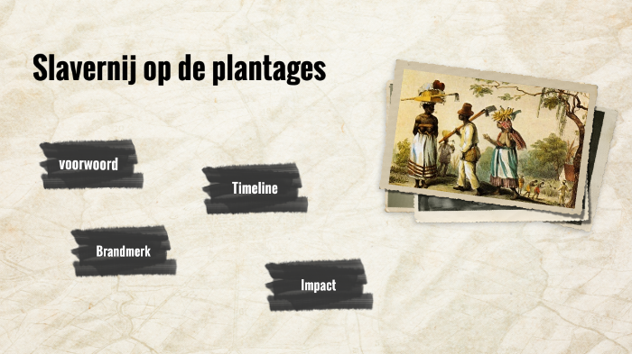 slavernij op de plantages by Enno van Keulen on Prezi