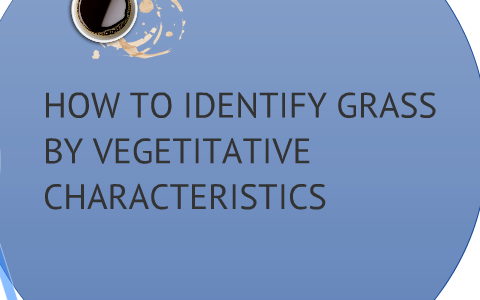 Turf identification by Mark Howard on Prezi