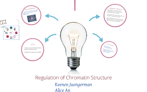 Regulation of Chromatin Structure by Alice An