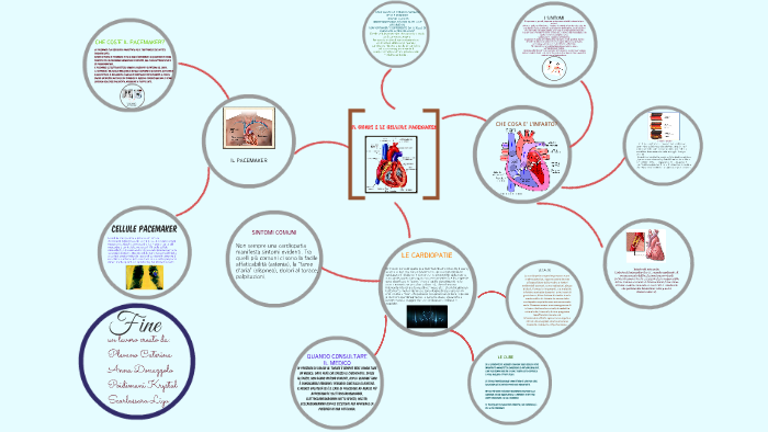 Cellule pacemaker by krystal poidimani on Prezi