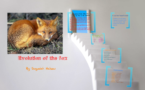 Evolution of the fox by Sequoiah Nelson on Prezi