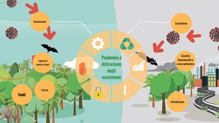 Pandemia e distruzione degli ecosistemi by Jennifer Negri on Prezi