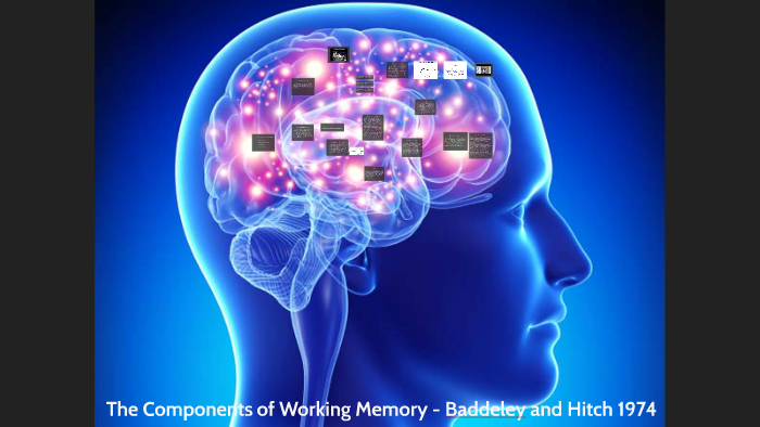 The Components of Working Memory by Grace Weiner on Prezi