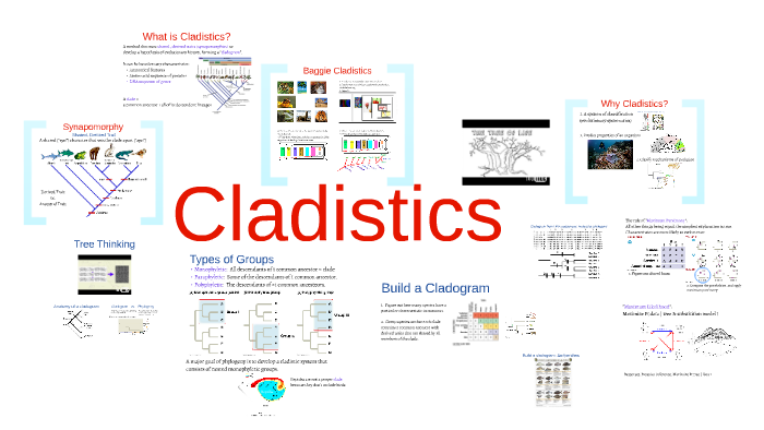 Cladistics Cladistics