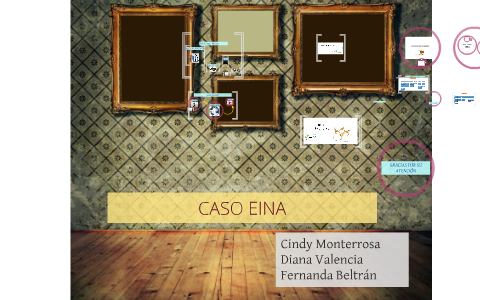 CASO EINA by Mafer belcar on Prezi