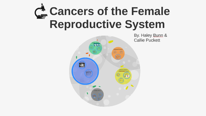 Cancers of the Female Reproductive System by Callie Puckett on Prezi