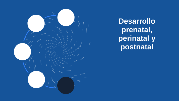 Desarrollo Prenatal Perinatal Y Post Natal By Rebeca Casillas On Prezi