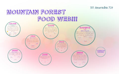 Mountain Forest food web! by Darshinie Naipaul