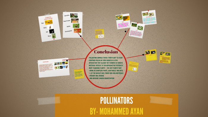 POLLINATORS by mehak vasta on Prezi