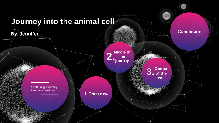 Journey into the animal cell by KYUNGRIM JUNG on Prezi