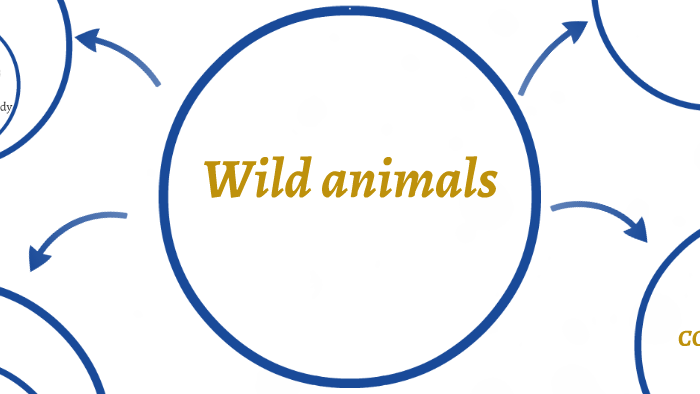 Wild animals CLIL Project by Andrea Santamaria on Prezi