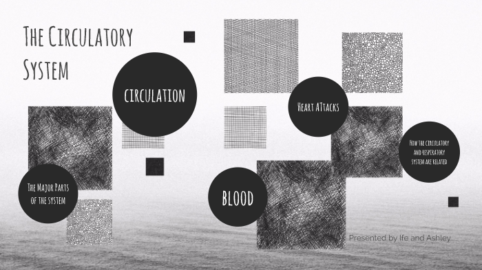 The Circulatory System by Fire Fox on Prezi