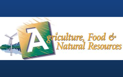 The 16 career clusters by channin smith on Prezi