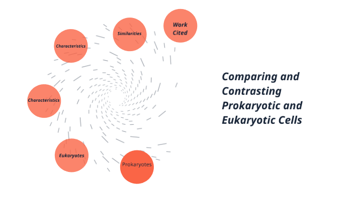 Comparing and Contrasting Prokaryotic and Eukaryotic Cells by emily ...