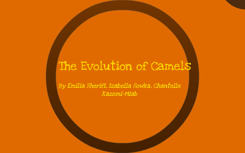 The Evolution of Camels by EBC BIOLOGY on Prezi