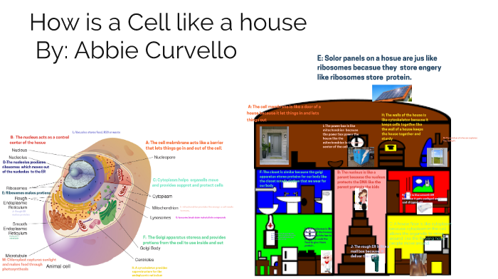How is a cell like a house by Abbigale Curvello on Prezi